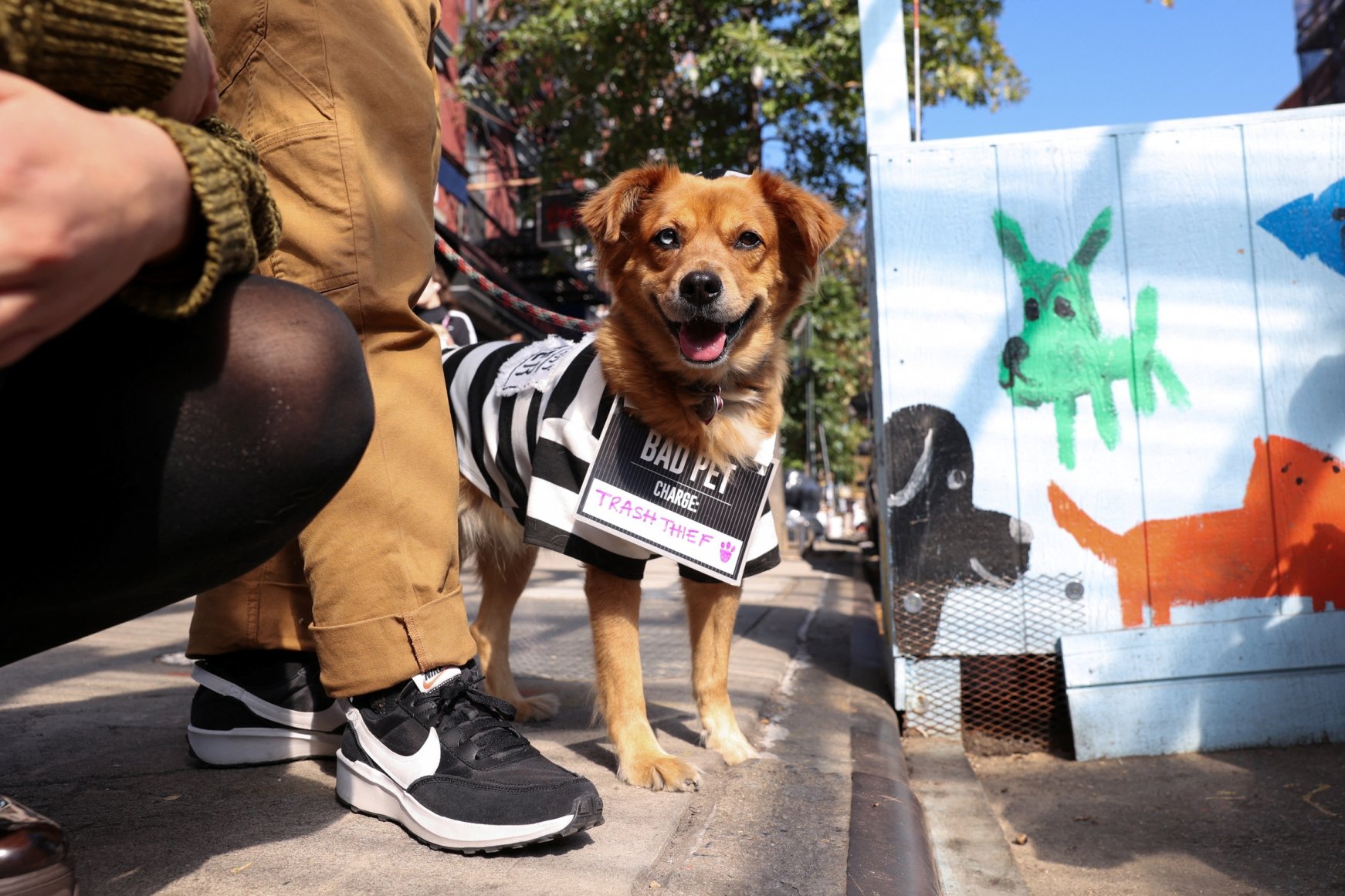 Spooktacular pups compete for best costume in NYC | Daily Sabah