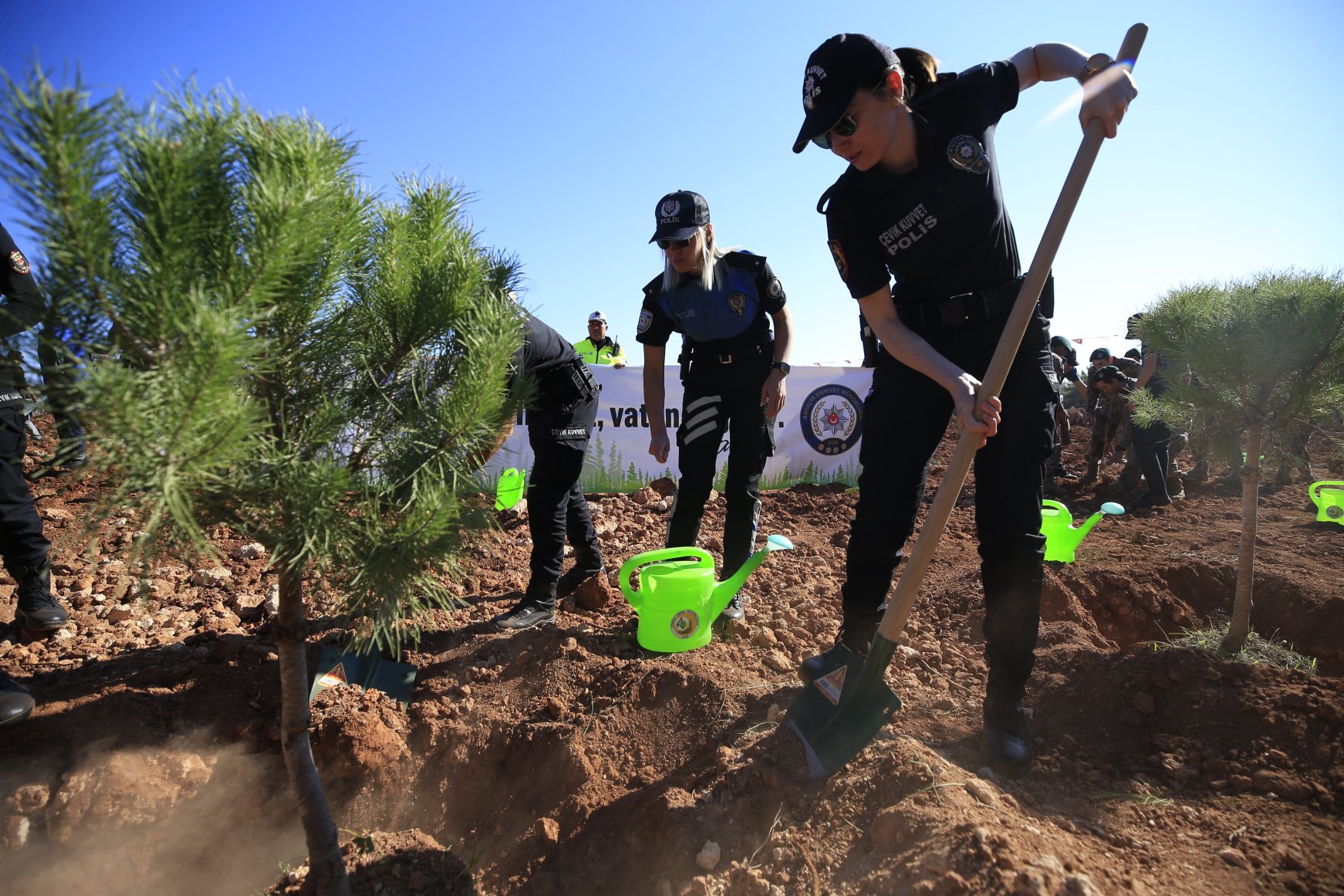 Thousands of people mobilize to create Türkiye's future forests | Daily ...