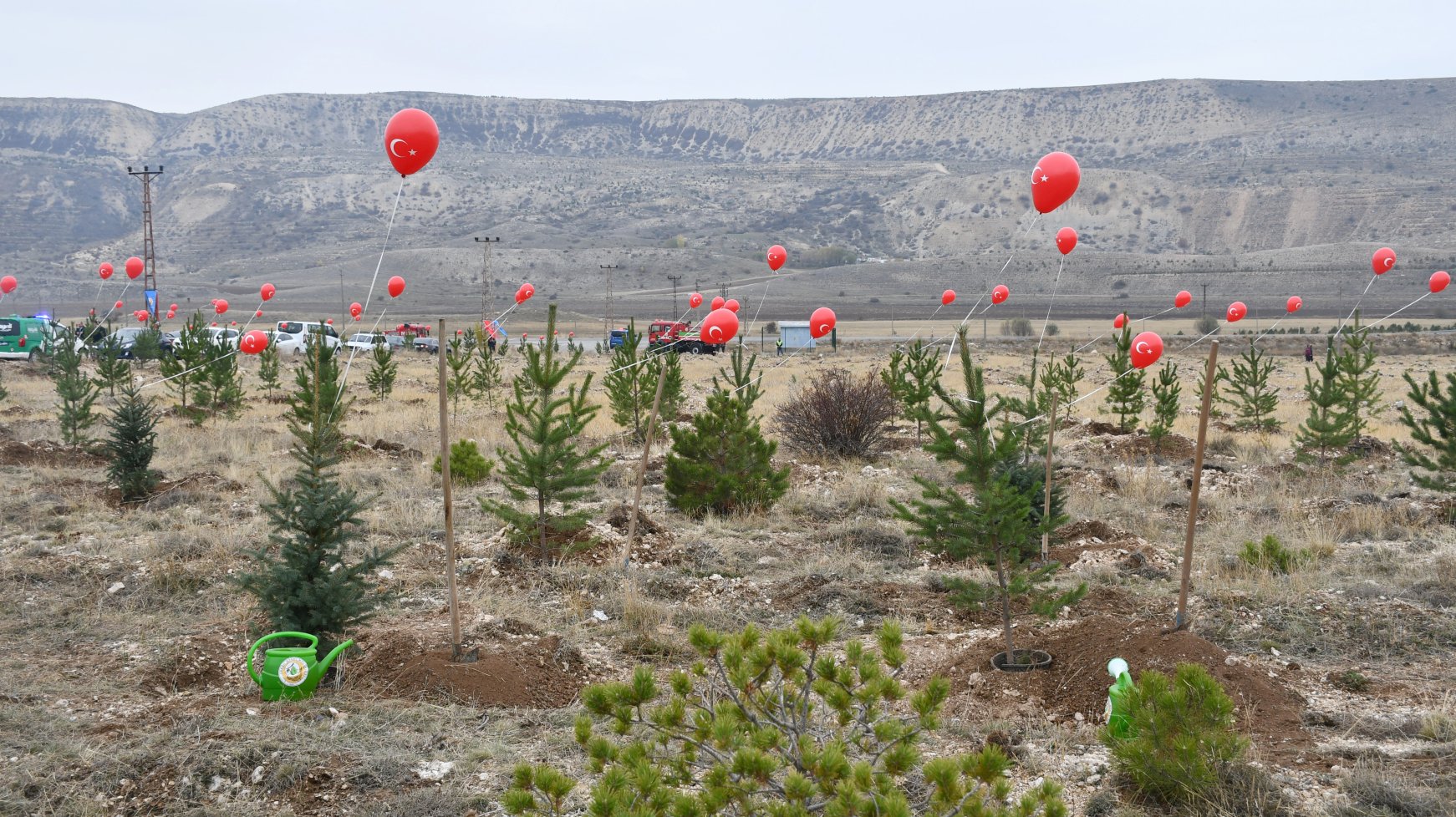 Thousands of people mobilize to create Türkiye's future forests | Daily ...