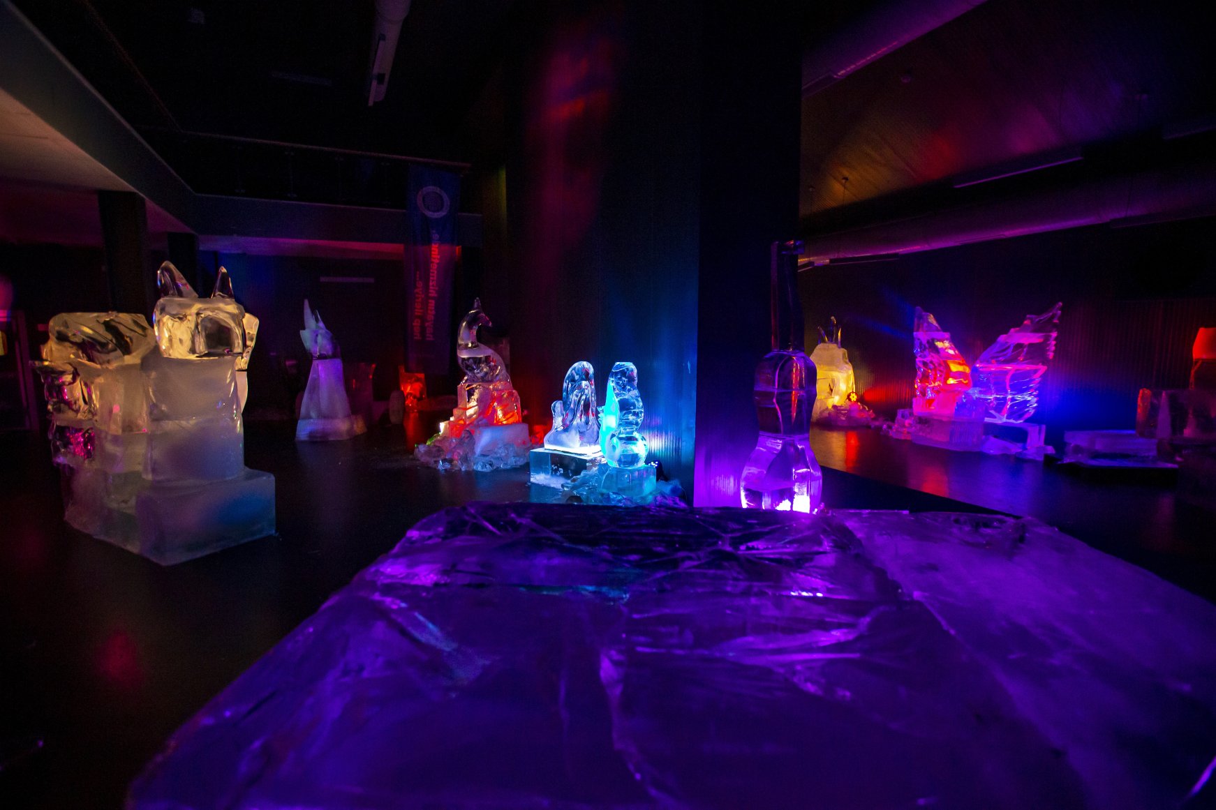 Türkiye's 1st ice museum takes visitors on Arctic-like journey | Daily ...