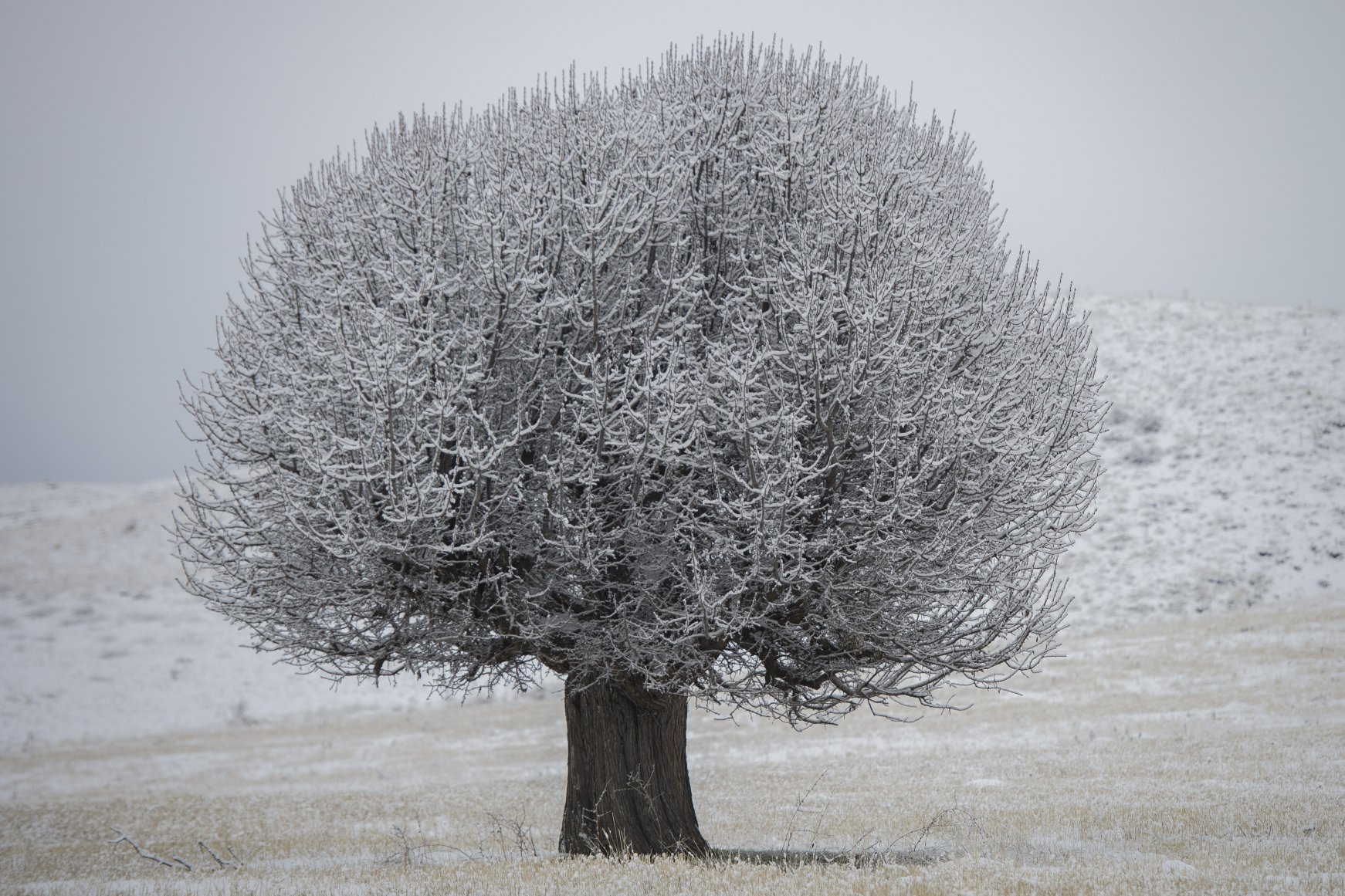 Later-than-usual snow covers part of Türkiye | Daily Sabah