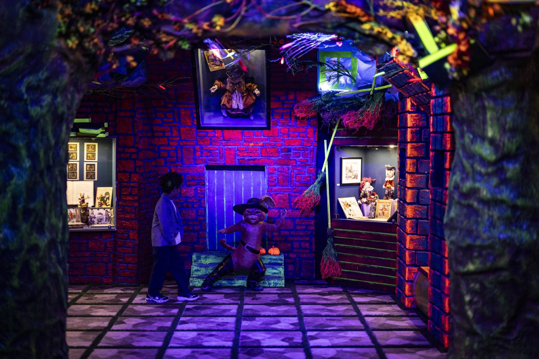 Istanbul's 1st animal-themed museum opens doors to cat lovers | Daily Sabah