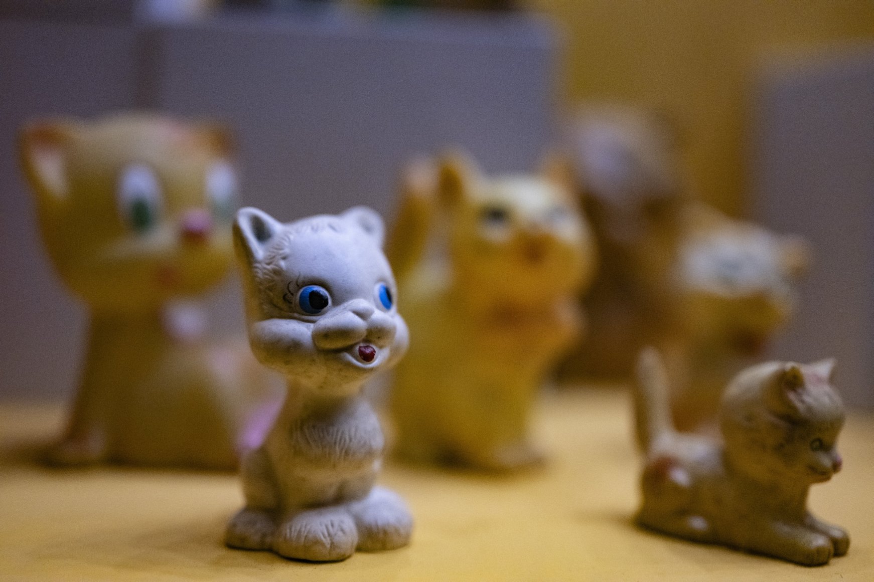 Istanbul's 1st animal-themed museum opens doors to cat lovers | Daily Sabah