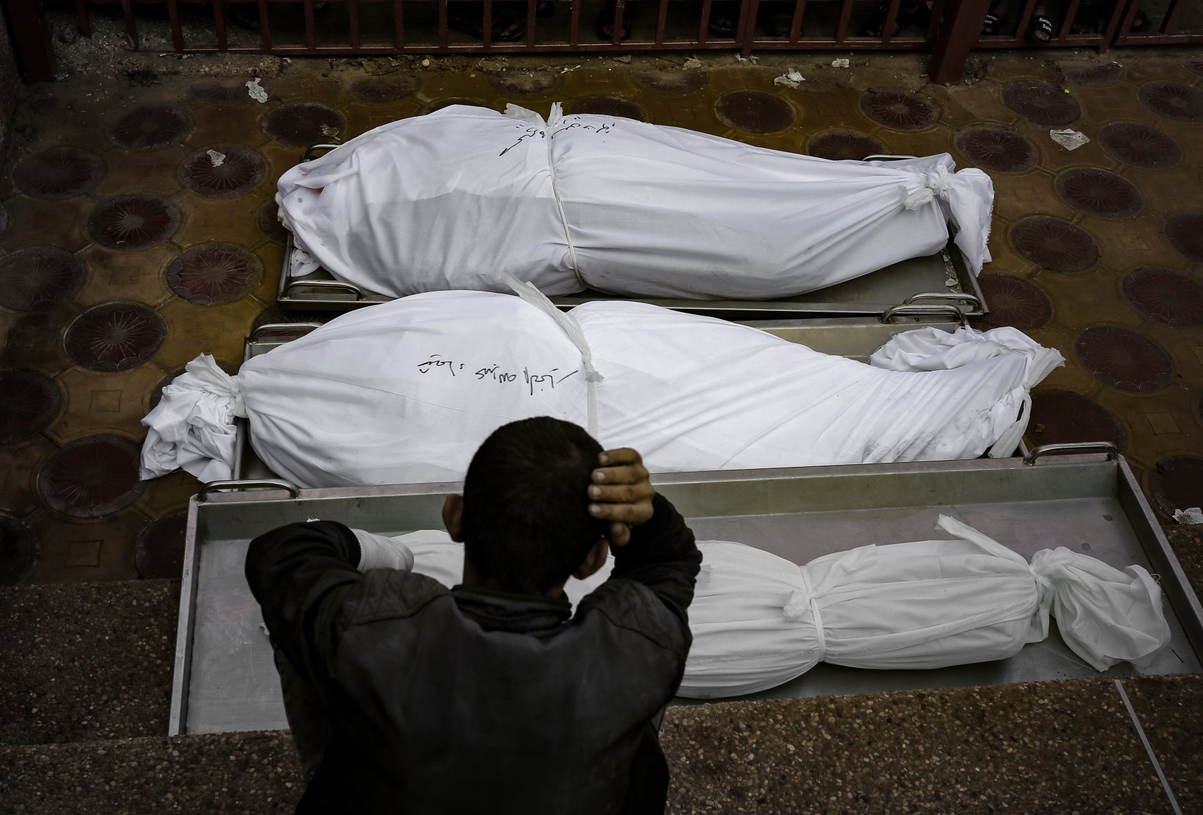 Humanity is dying: From air, sea and land | Daily Sabah