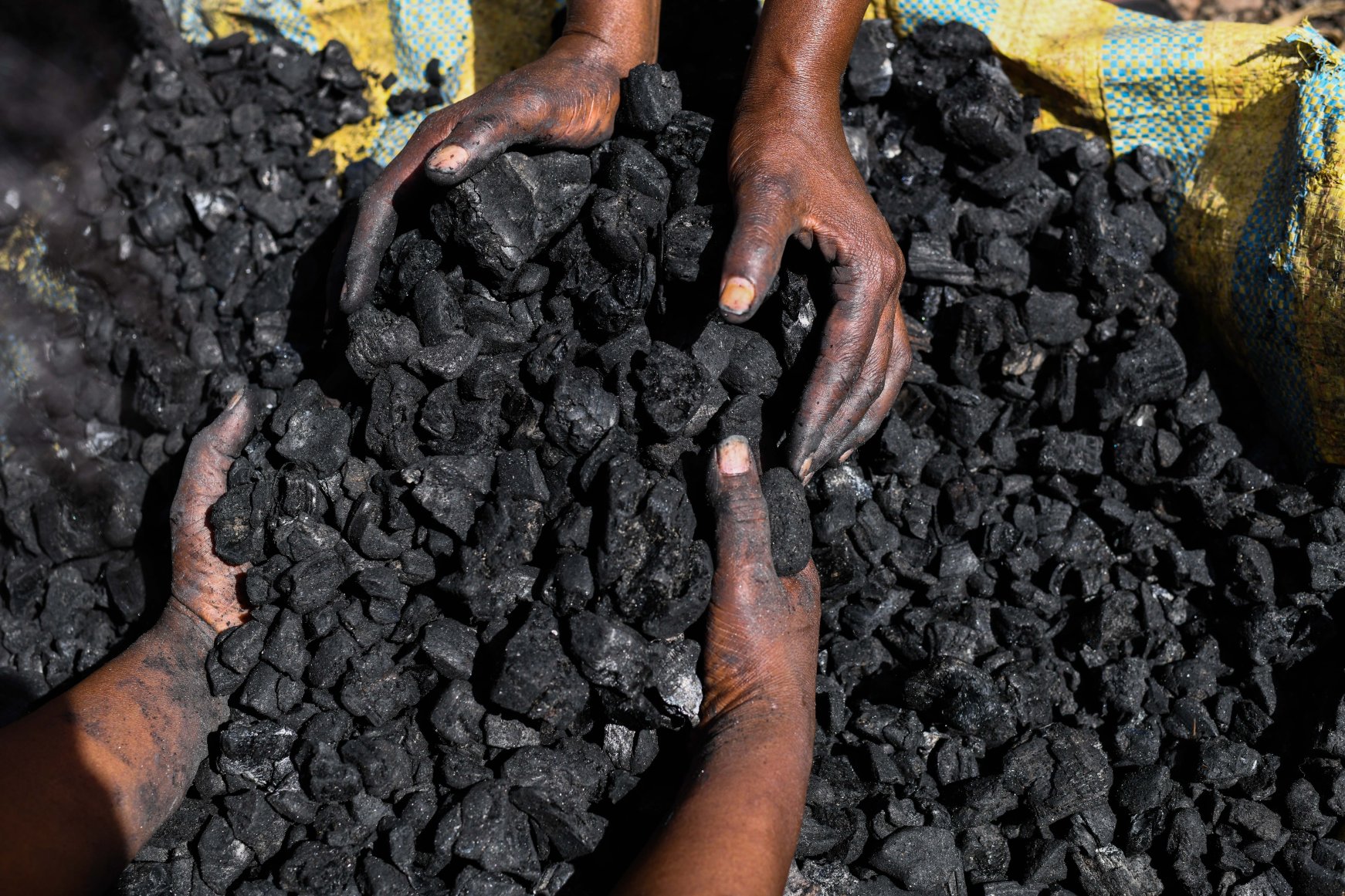 Kenya charcoal sellers' tough labor | Daily Sabah