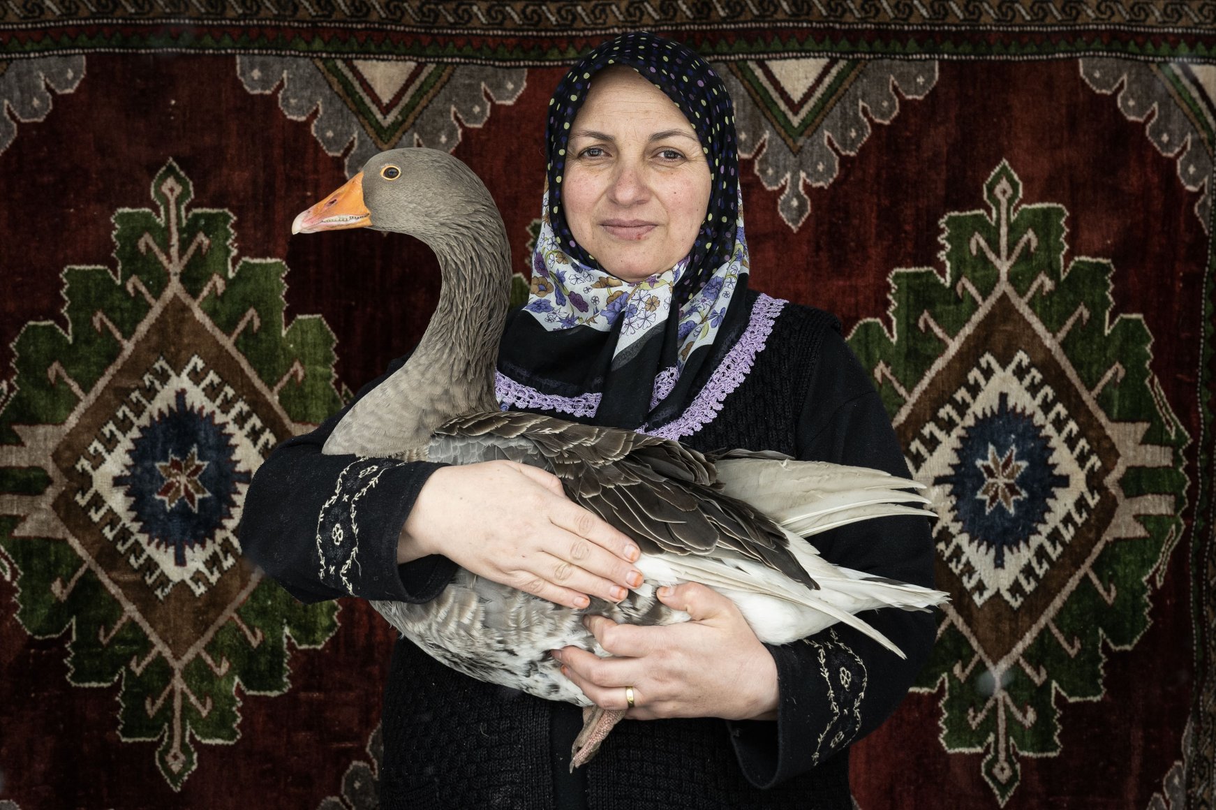 Under the wings of women: Goose farming in Kars | Daily Sabah