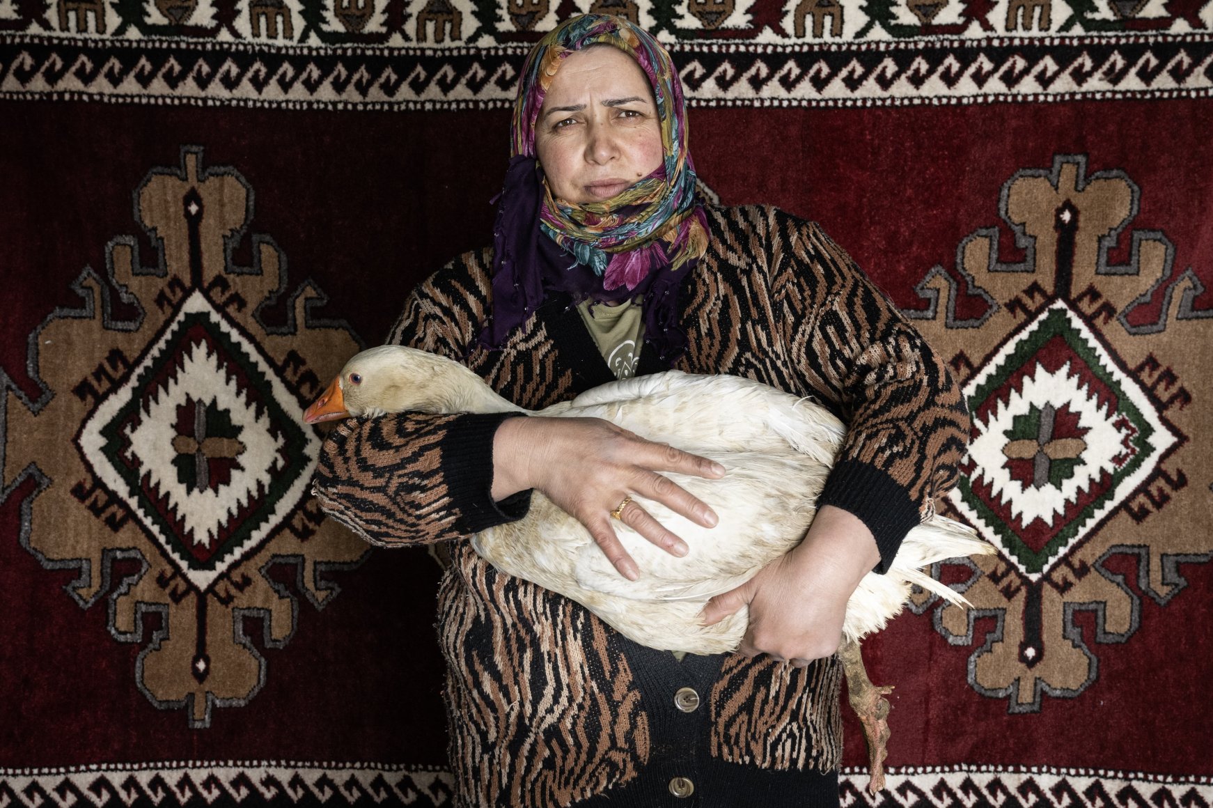 Under the wings of women: Goose farming in Kars | Daily Sabah