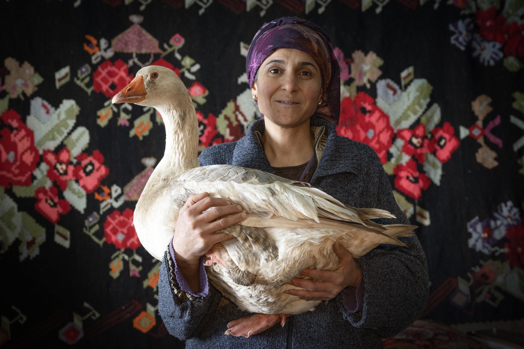 Under the wings of women: Goose farming in Kars | Daily Sabah