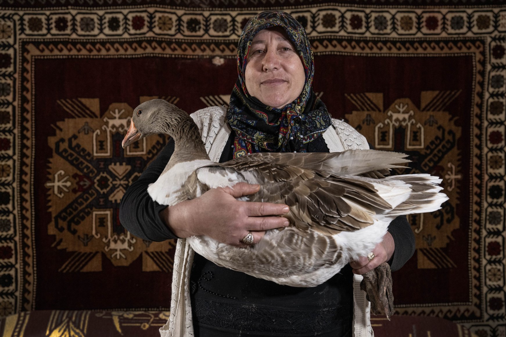 Under the wings of women: Goose farming in Kars | Daily Sabah