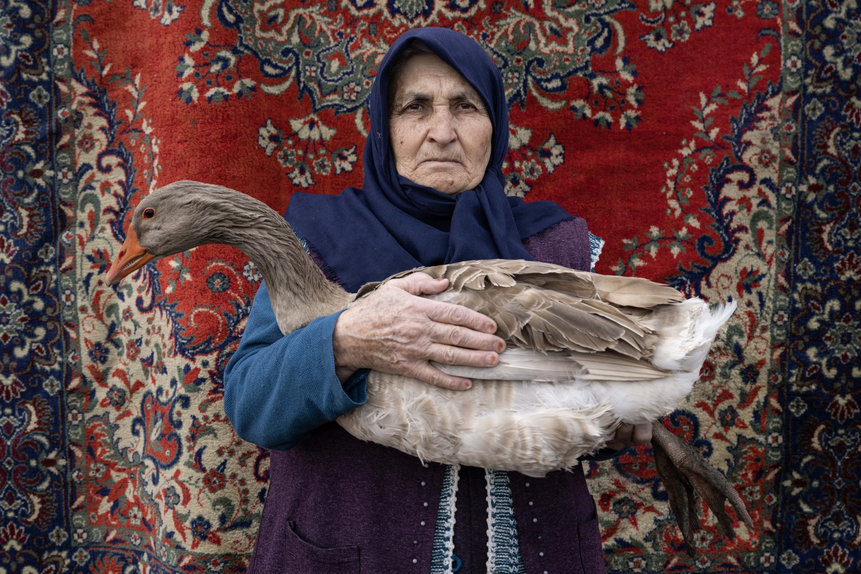 Under the wings of women: Goose farming in Kars | Daily Sabah