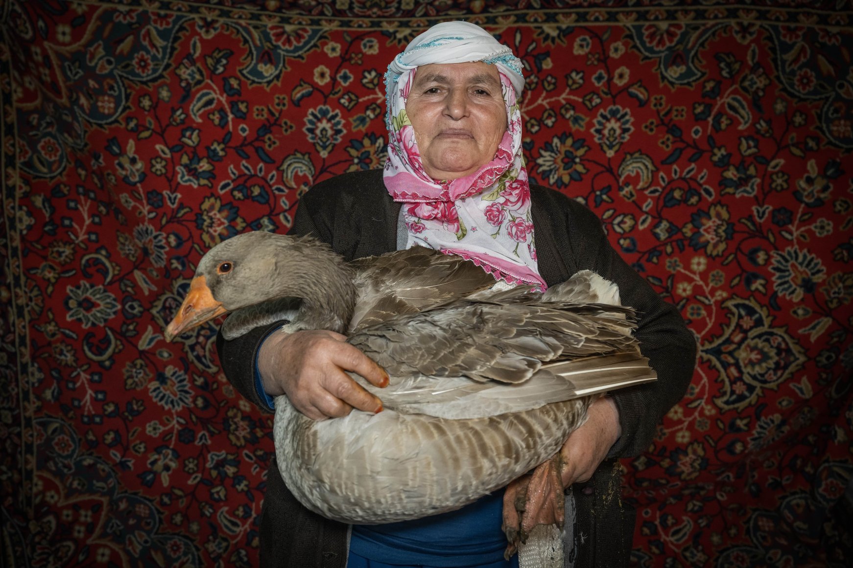 Under the wings of women: Goose farming in Kars | Daily Sabah