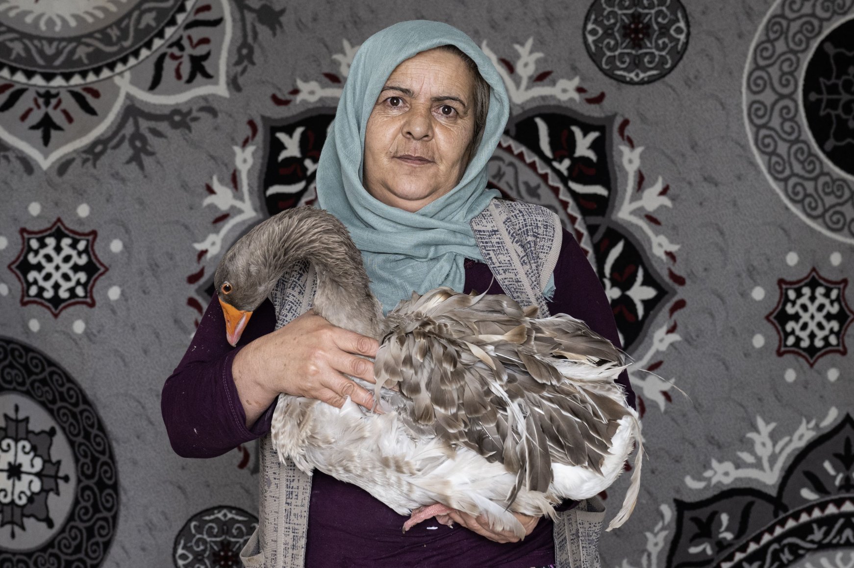 Under the wings of women: Goose farming in Kars | Daily Sabah