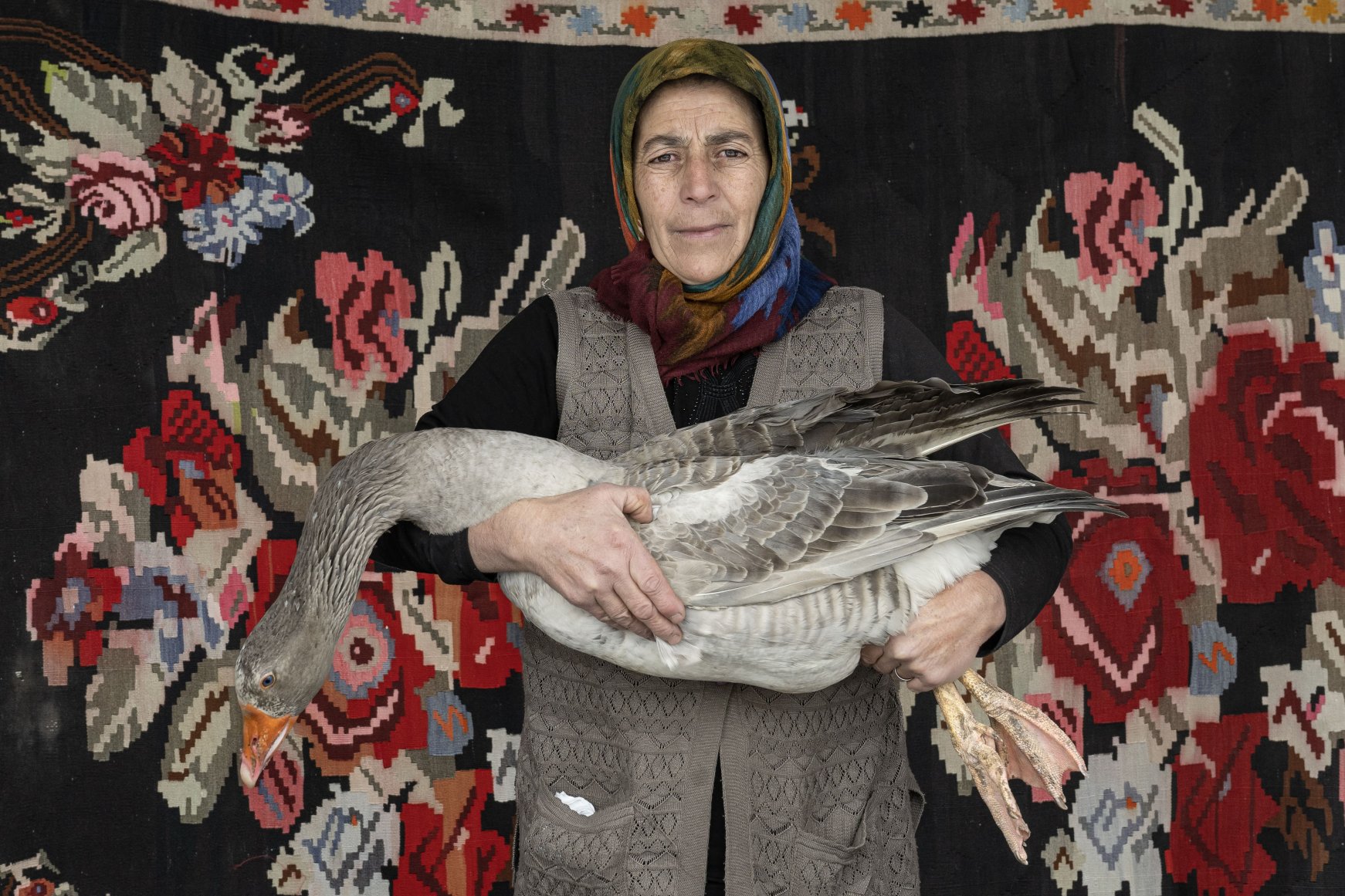Under the wings of women: Goose farming in Kars | Daily Sabah