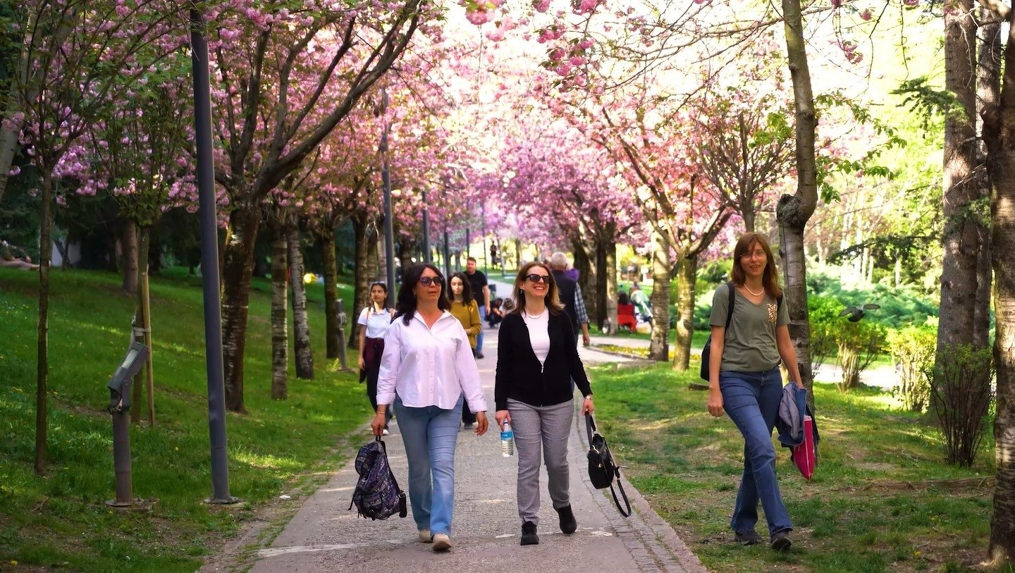 Time for cherry blossoms in Turkish capital Ankara | Daily Sabah