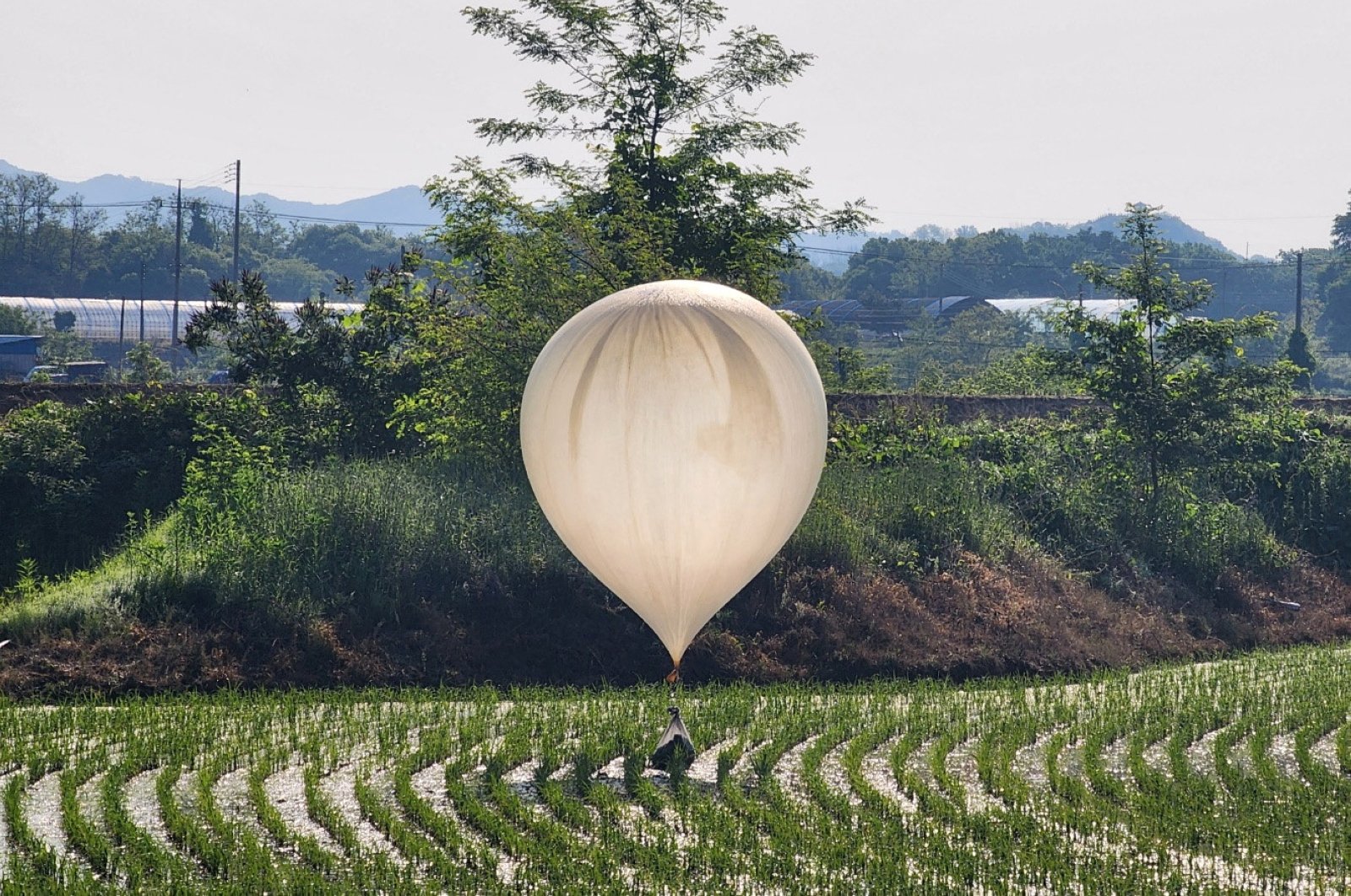 Poop bomb: North Korea sends 'trash, feces' balloons into South | Daily ...
