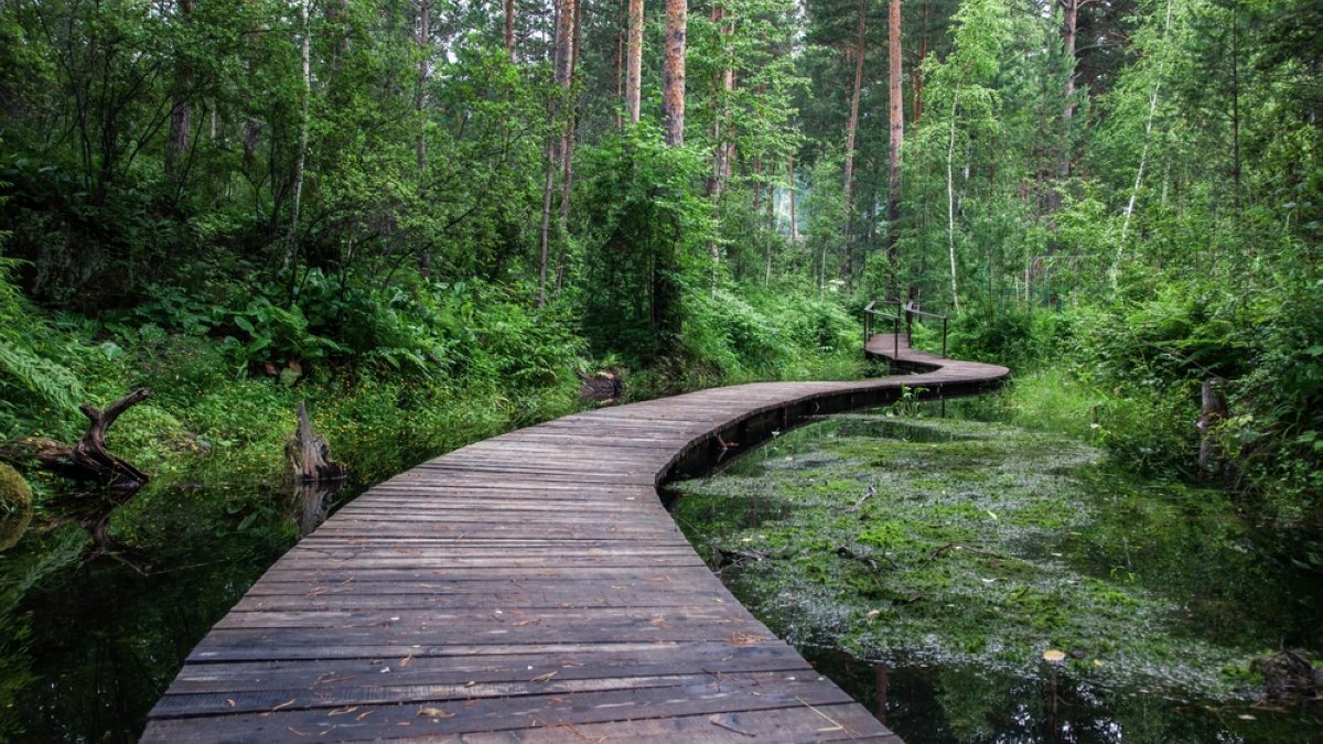 Worth and worthlessness in human existence | Daily Sabah