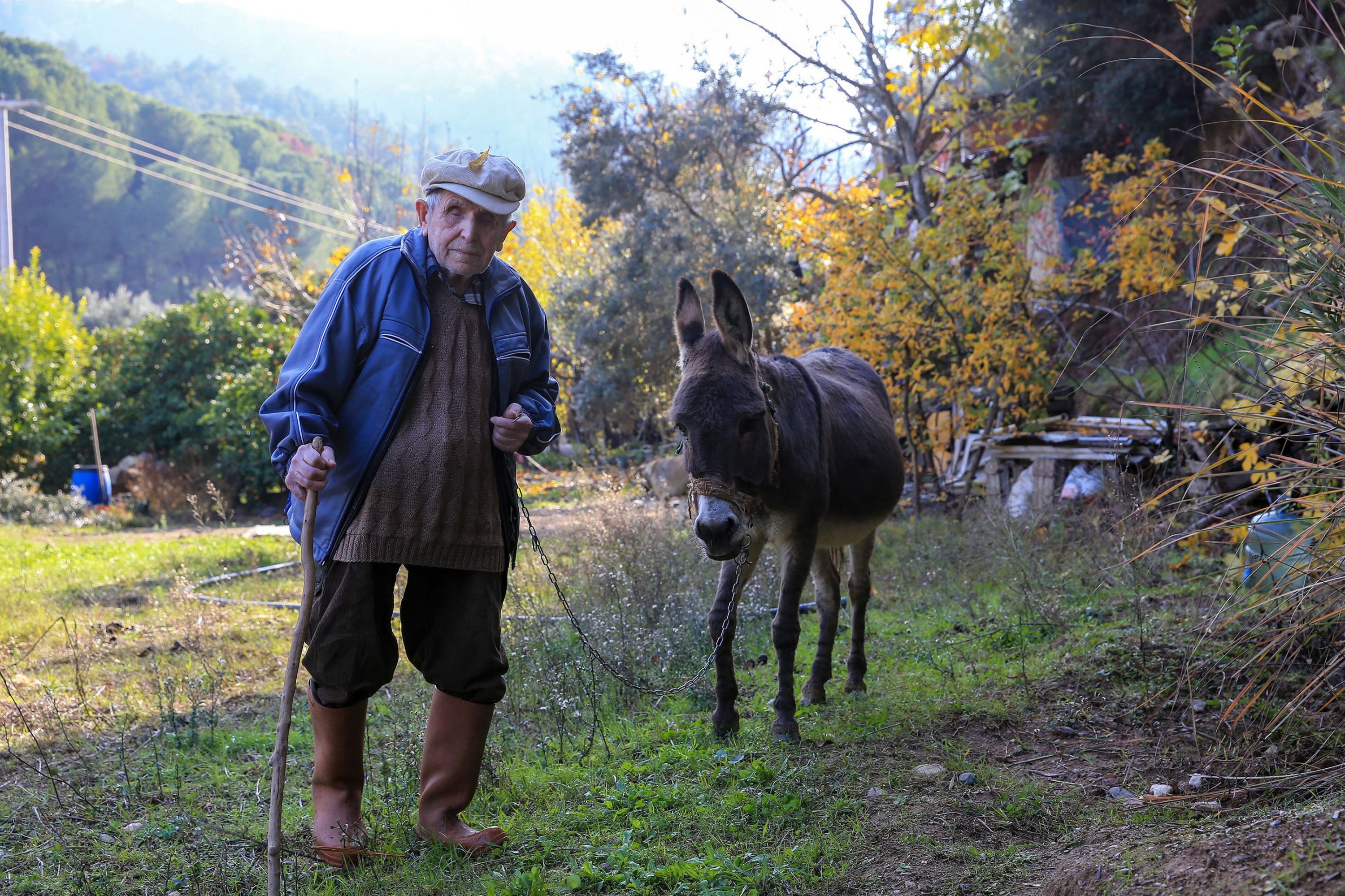 Donkey becomes guide for visually impaired man in Türkiye | Daily Sabah